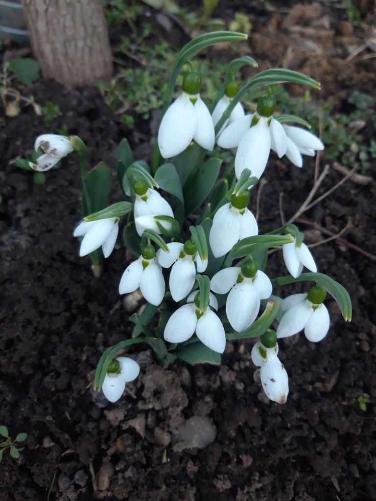 Wonderful Wordless World (205) – In a Love World