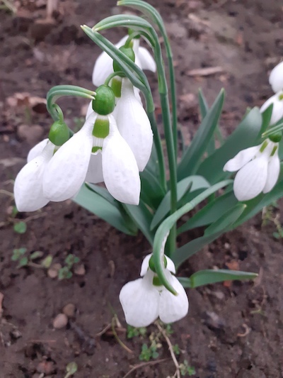 Wonderful Wordless World (206) – In a Love World