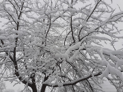 Wonderful Wordless World (206) – In a Love World